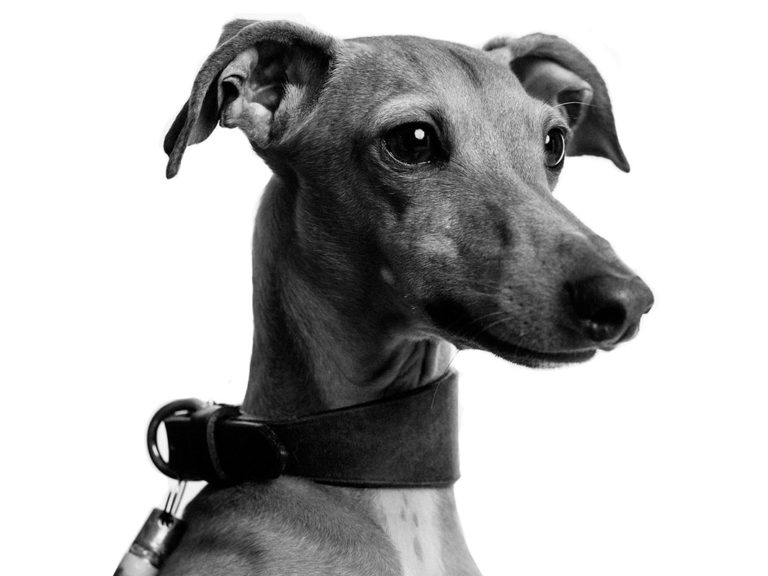 Anslut dig till Sveriges ledande rekryteringsnätverk - Bohmans